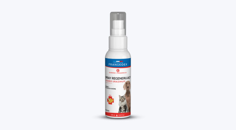 Spray regenerujący skórę dla psów i kotów 100 ml | John Dog