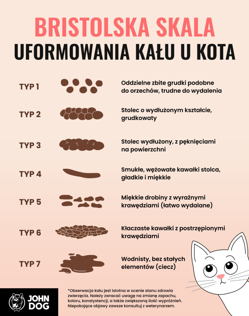 Co można wyczytać z kociej kupy i moczu? | John Dog