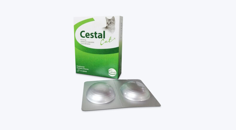 Cestal Cat tabletki na odrobaczenie dla kota 2 tabletki | sklep John Dog