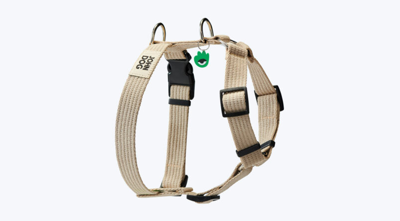 Szelki guard dla psa Hej hau hello beżowy | John Dog