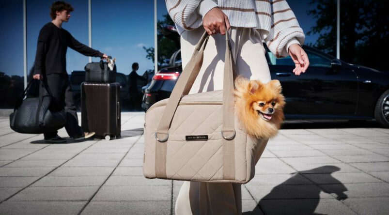 Ekskluzywna torba dla psa pikowana beżowa John Dog Travel | sklep John Dog