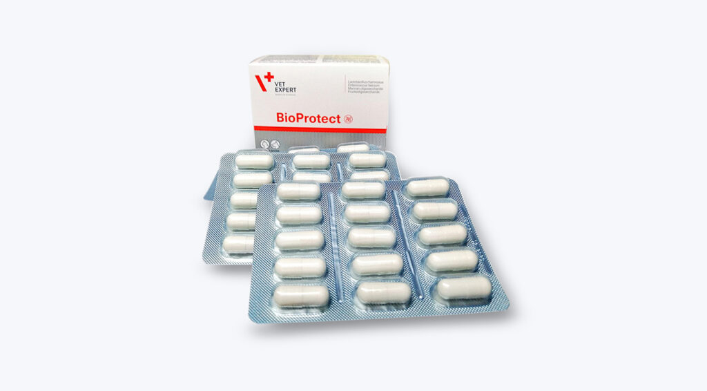 Probiotyk dla psa i kota Bioprotect 60 tabletek | sklep John Dog