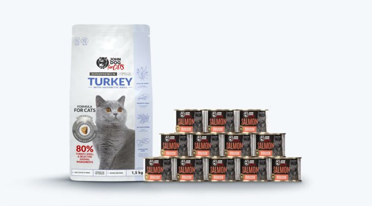 Zapalenie spojówek u kota | John Dog