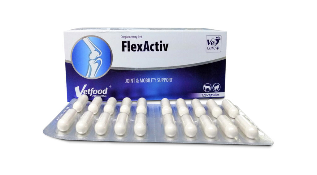 Suplement na stawy dla psa i kota FlexActiv 120 kaps. | sklep John Dog